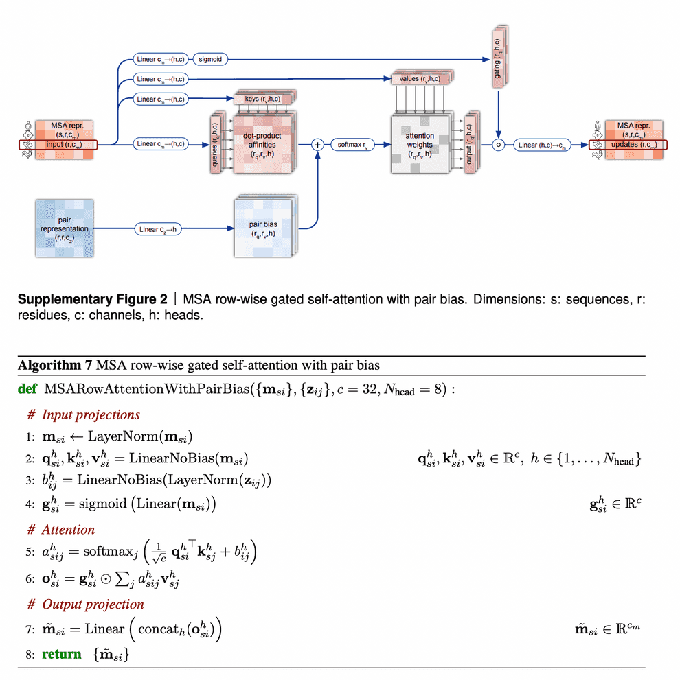 AlphaFold: Protein Structure Prediction - by Alishba Imran