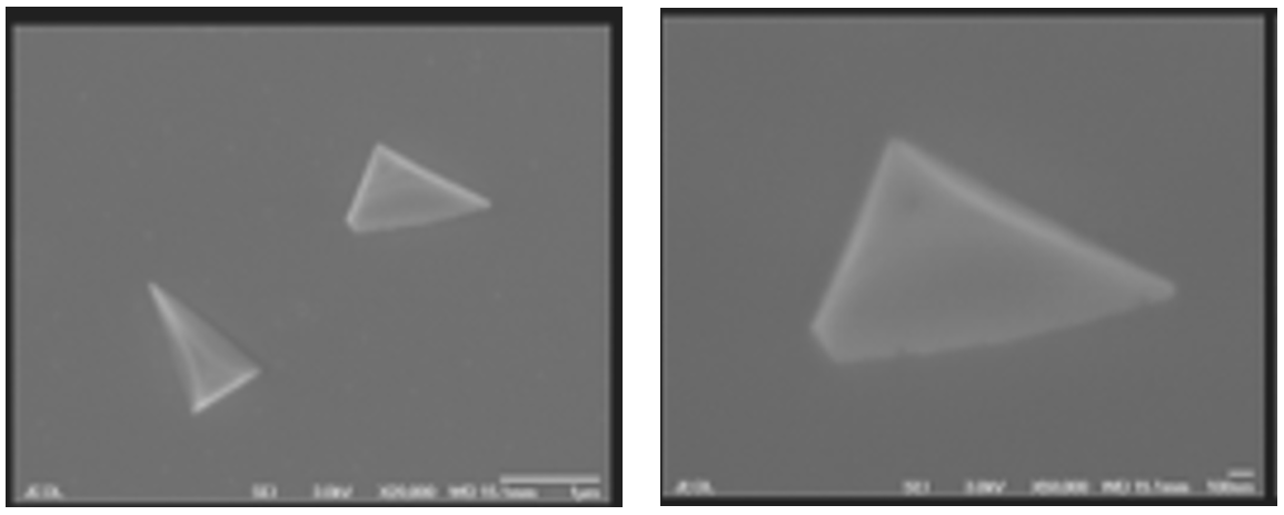 Electron Microscopy Of The Blood Of A 43 Year Old With 3 Pfizer ...