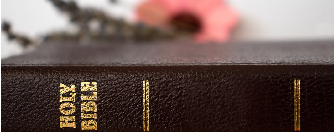 The Authenticity of the Bible: Historical, Archaeological, and ...