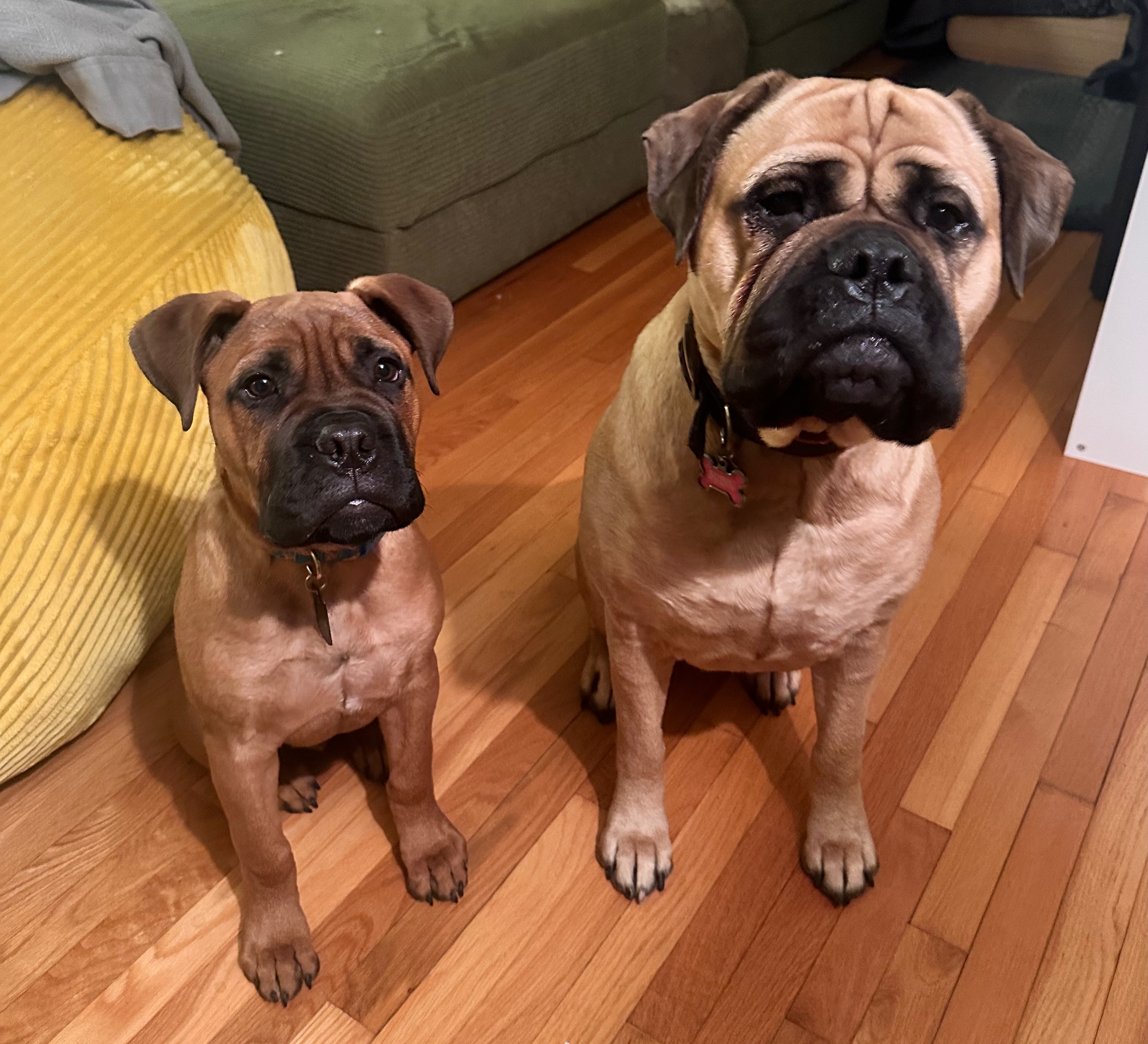 The Case for Cocchi Americano - by Peter Suderman