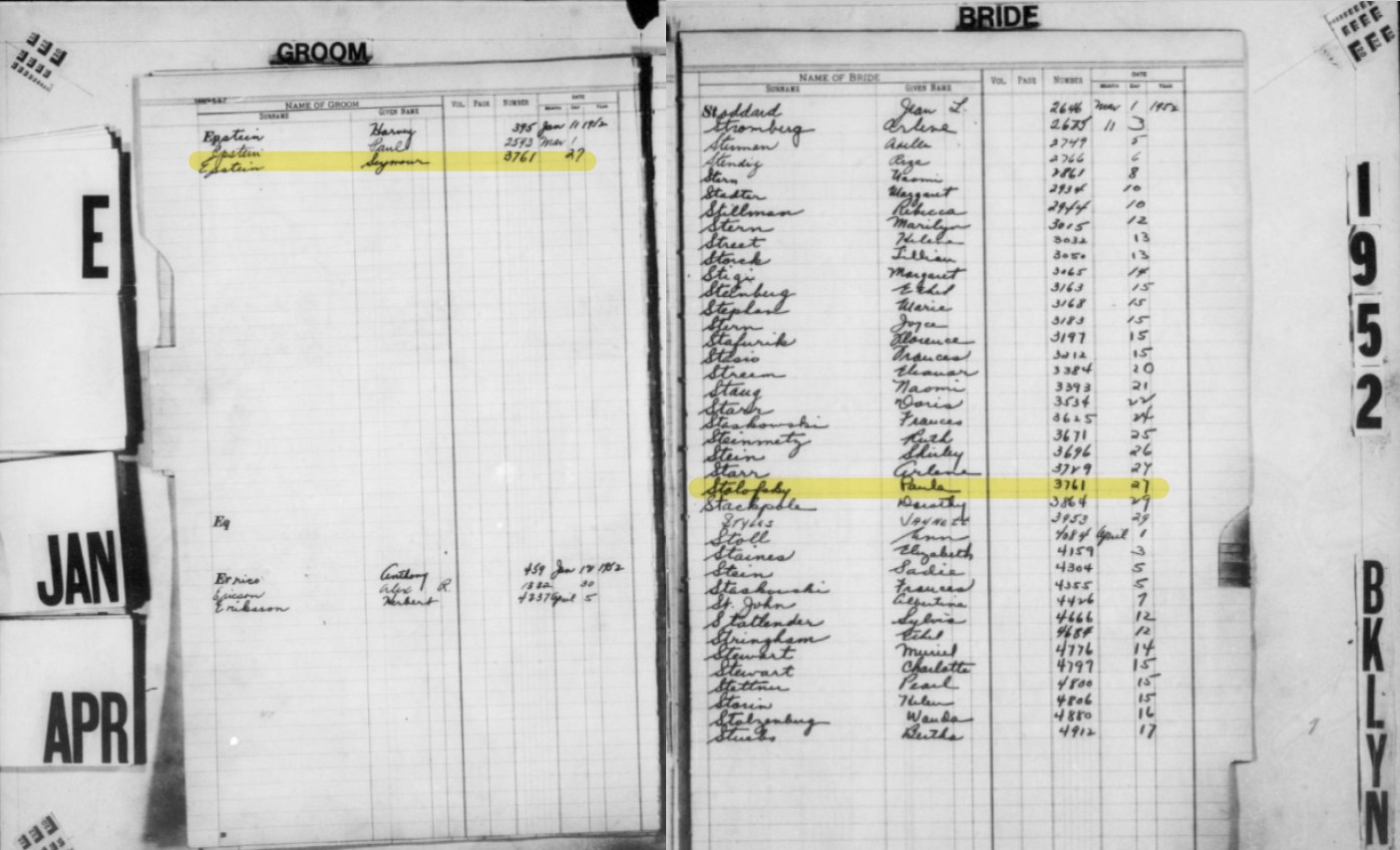 The Epstein-Maxwell Family Saga - by Ellie Leonard