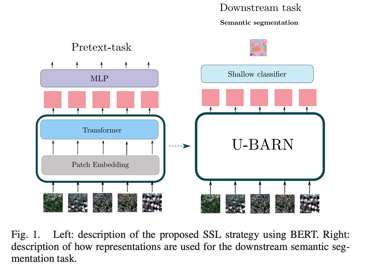 New Discoveries 25 By Robin Cole