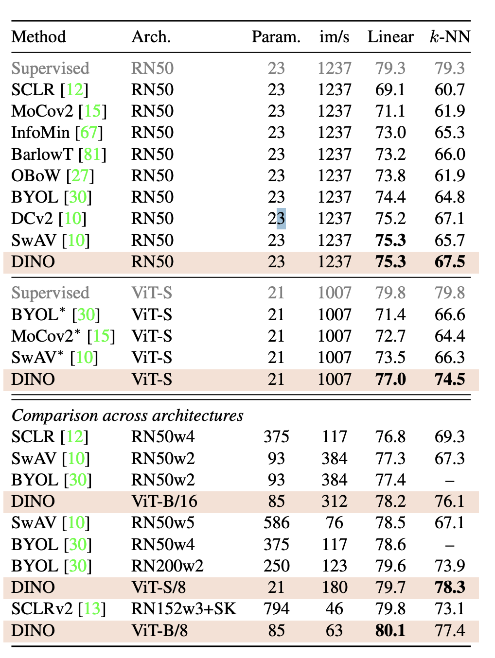 DINO Explained: How Self-Supervised Learning Unlocked Vision Transformers