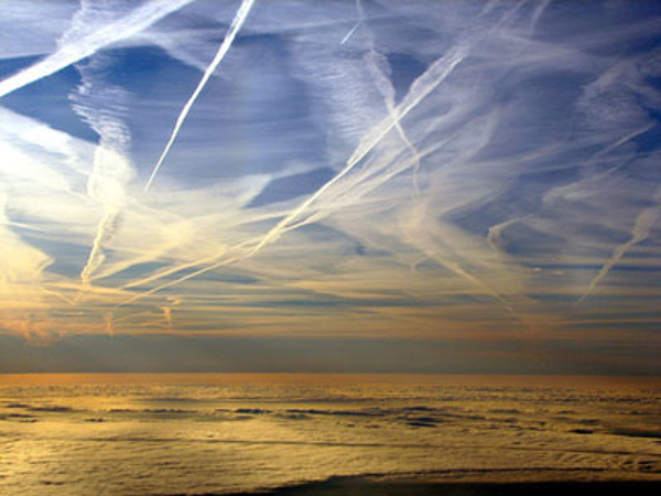 Contrails in a Nutshell - by Michael Caldwell