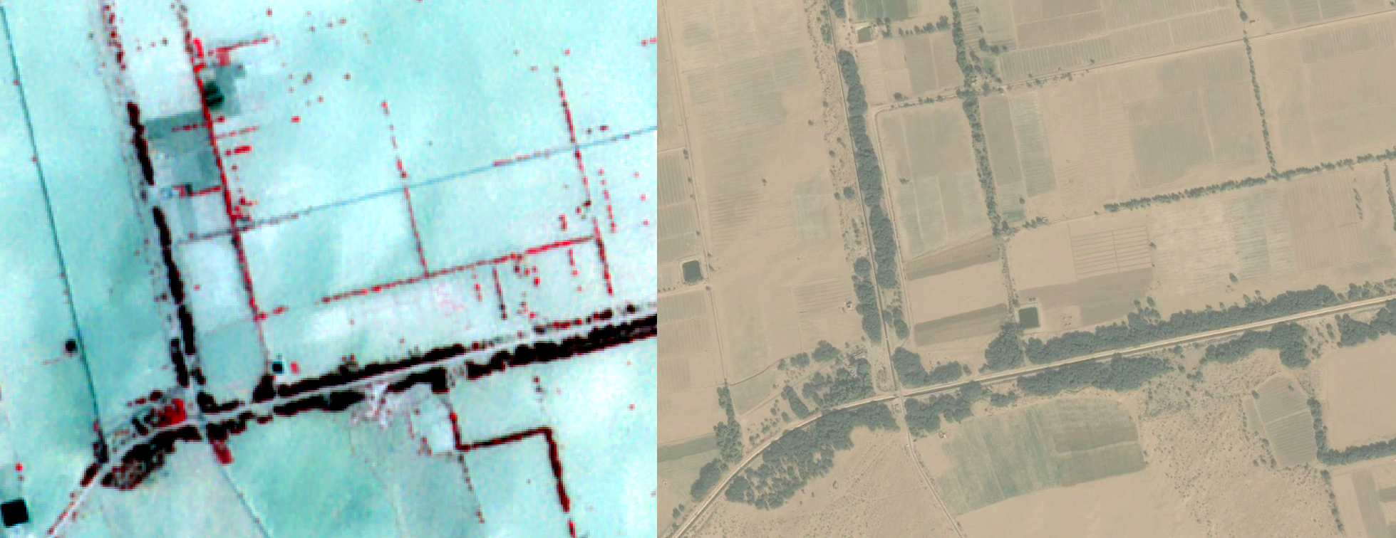 Exploration of the brand new LISS4 data release and opportunities