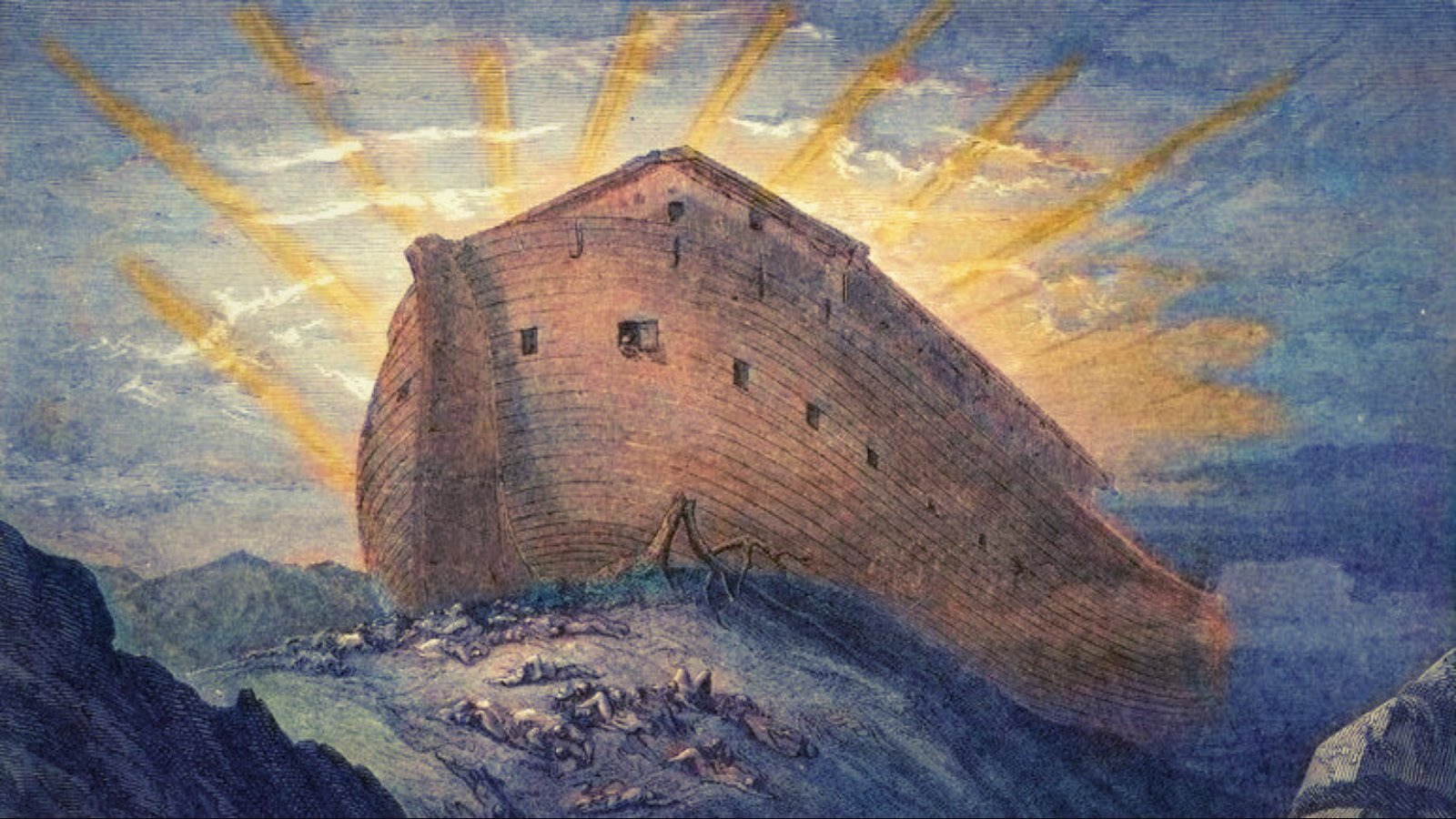 Why did Noah send out a raven, then a dove from the ark?