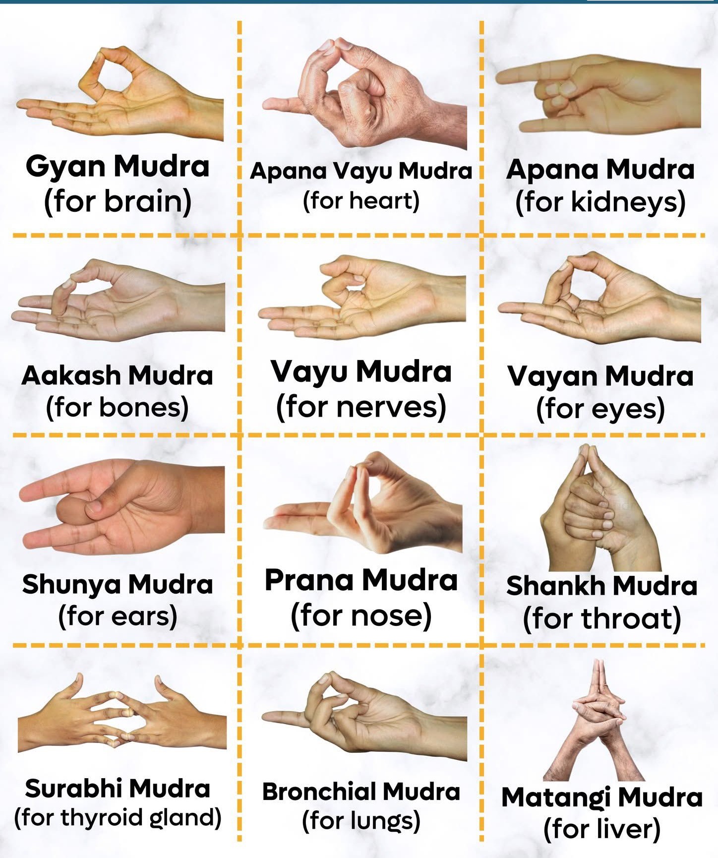 🕉️ The Mystical Power of Mudras: The Hidden Science of Spiritual Practice