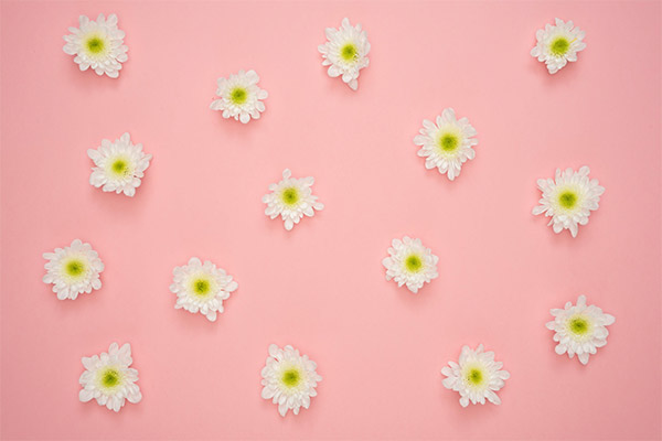 Patterns in Photography: Showcase of Beautiful Patterns