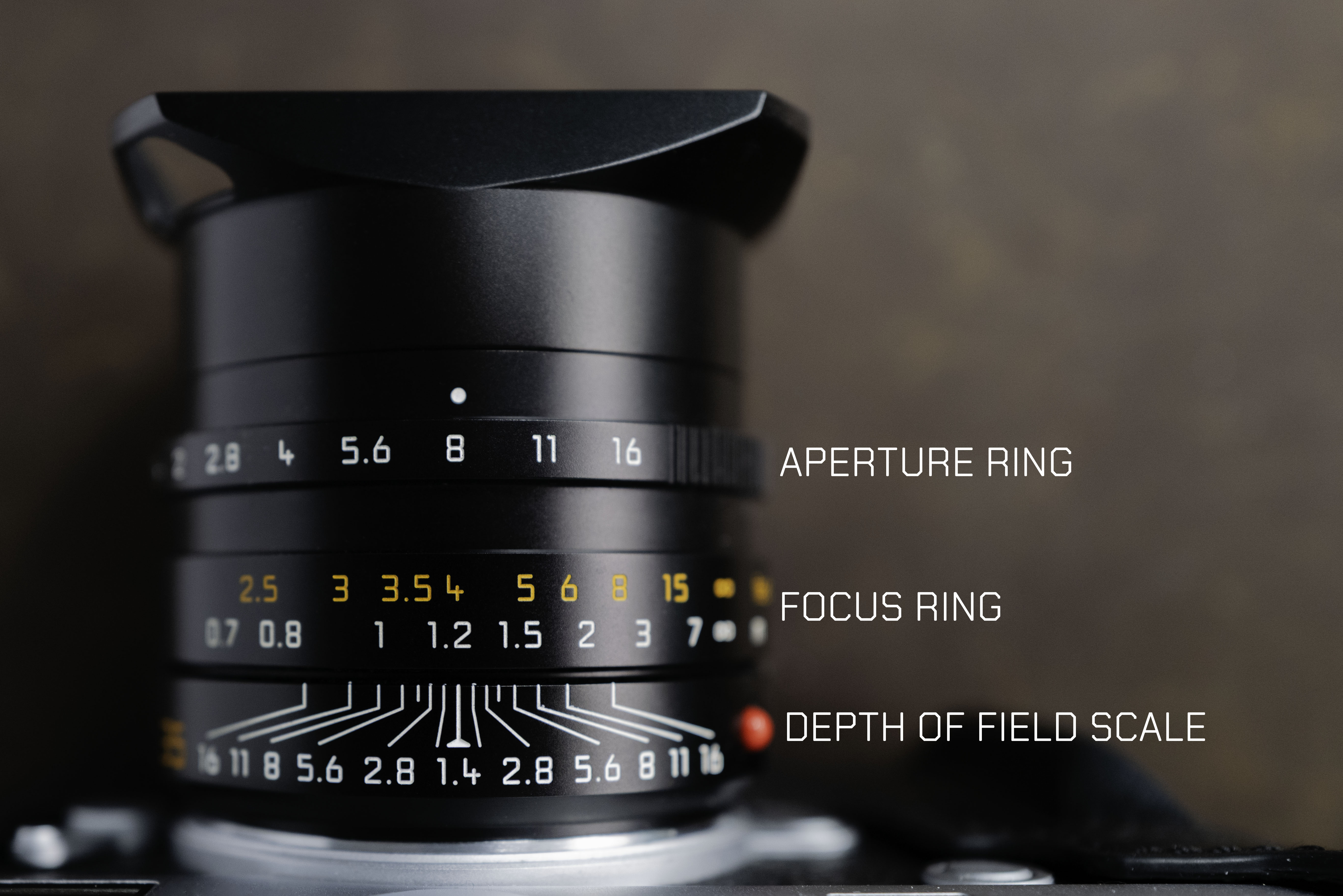 Beginner's Guide to Zone Focusing