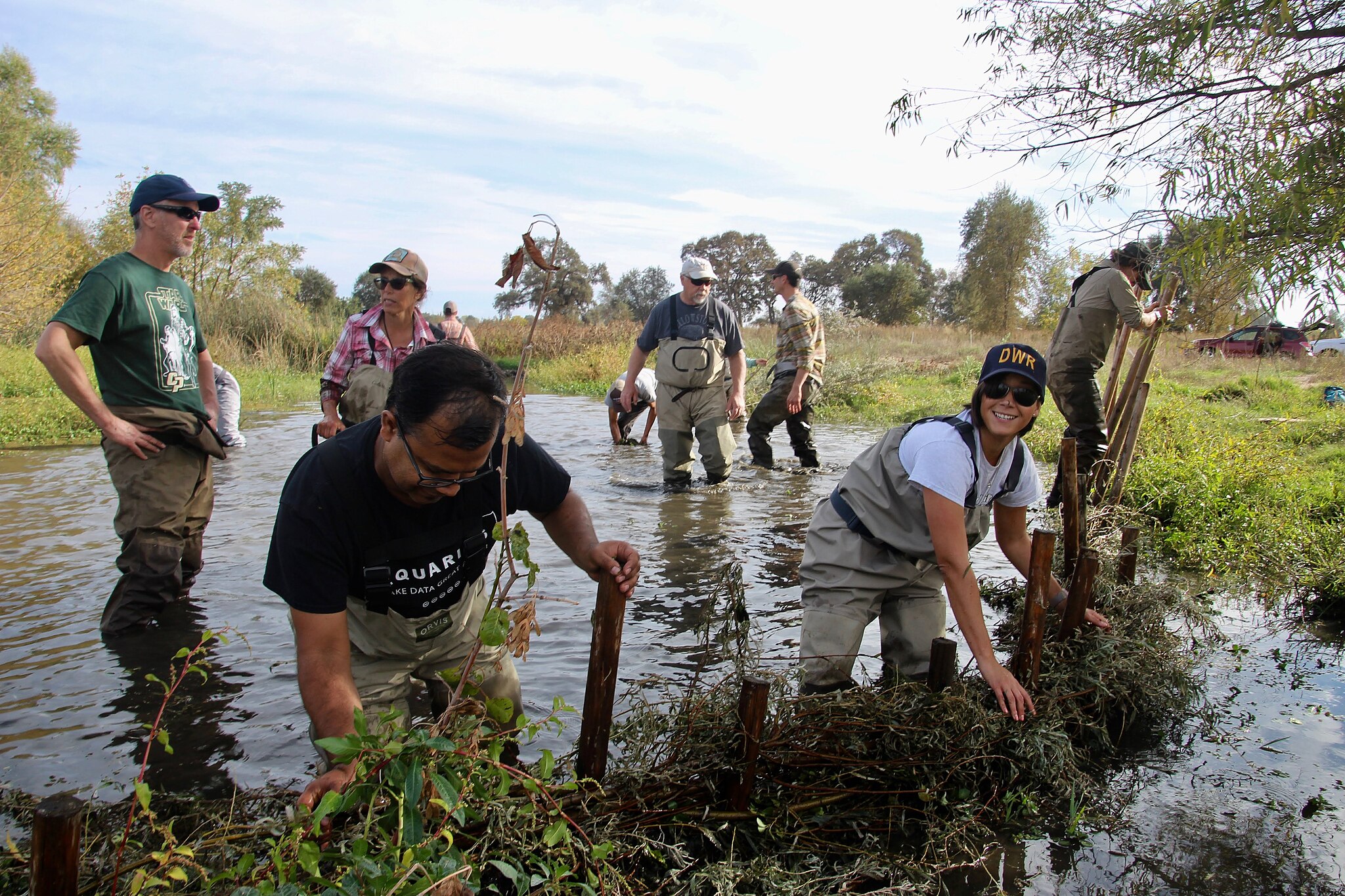 We can't just leave it to beavers: how we can improve the success rate ...