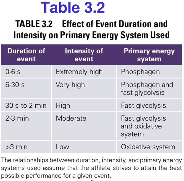 What is the Glycolytic System, Why it Matters, and How to Train it