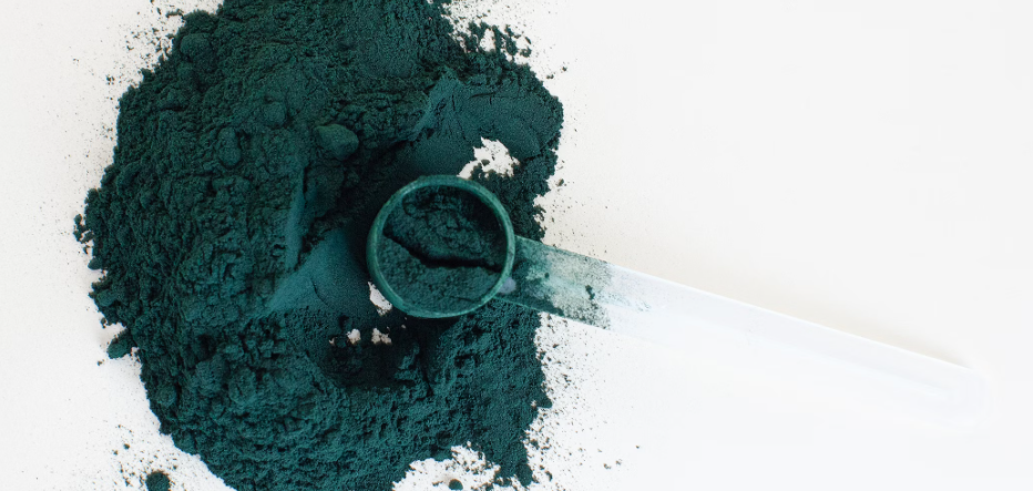 The Power of Blue: Why Nature’s Rarest Color Holds the Key to Vibrant ...