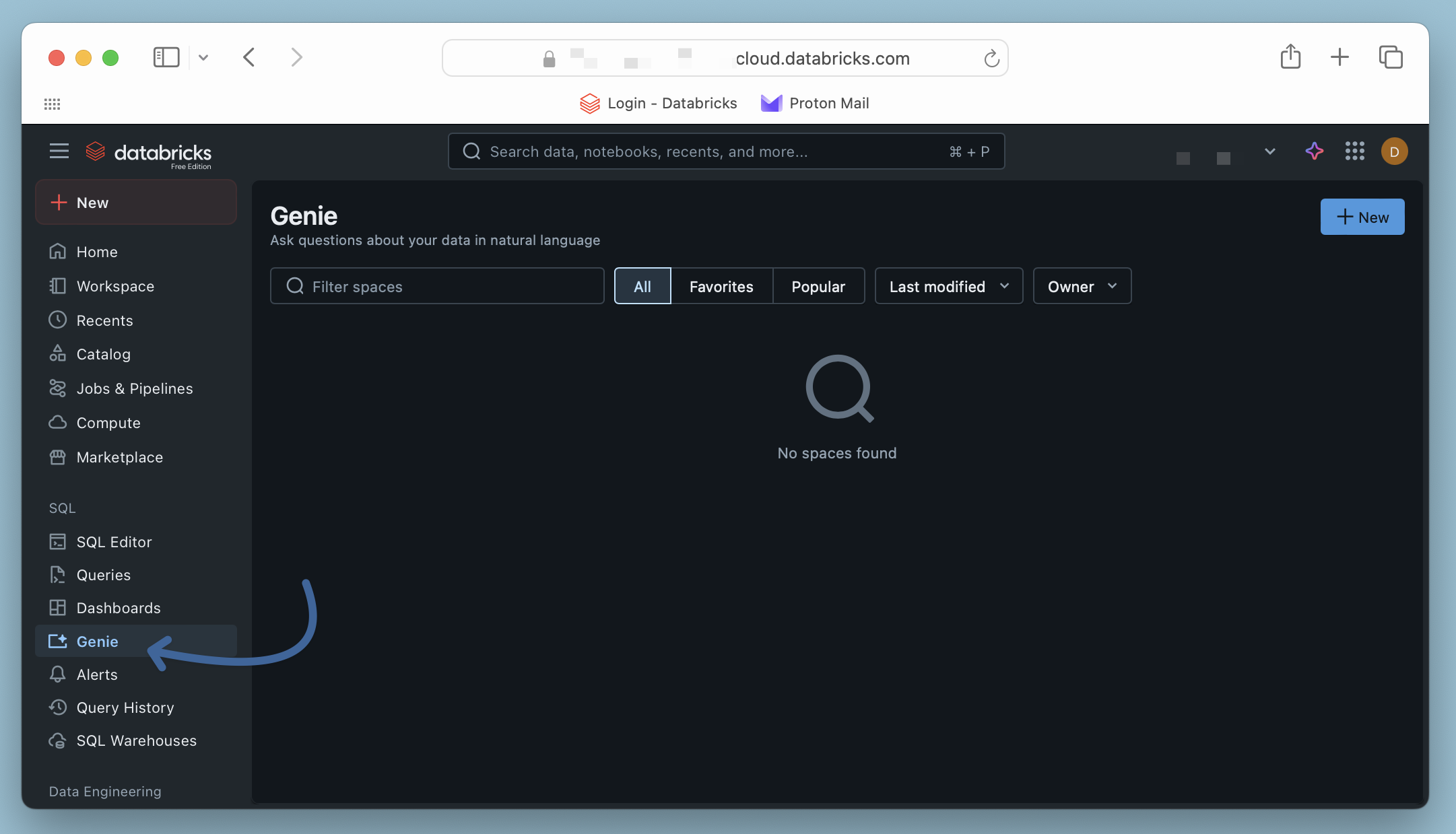Abracadabra - Databricks' Genie Spaces - by Matt