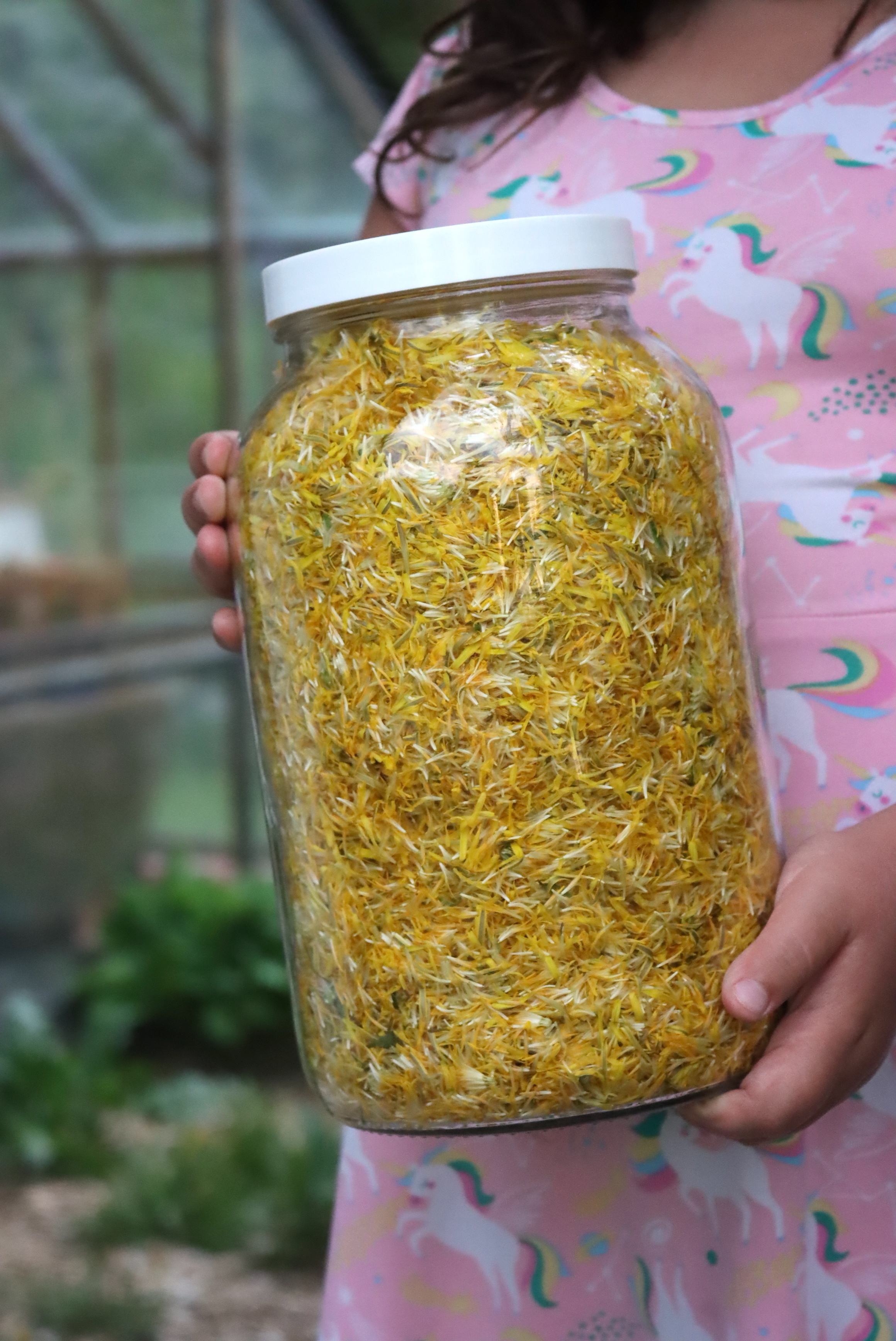 Dandelion Recipes & Remedies - by Ashley Adamant