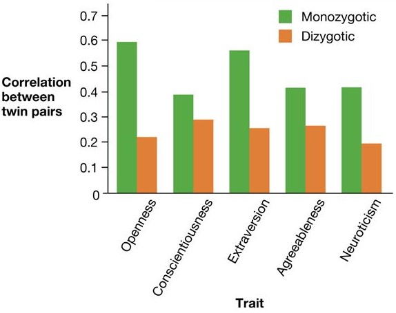 12 Things Everyone Should Know About Personality