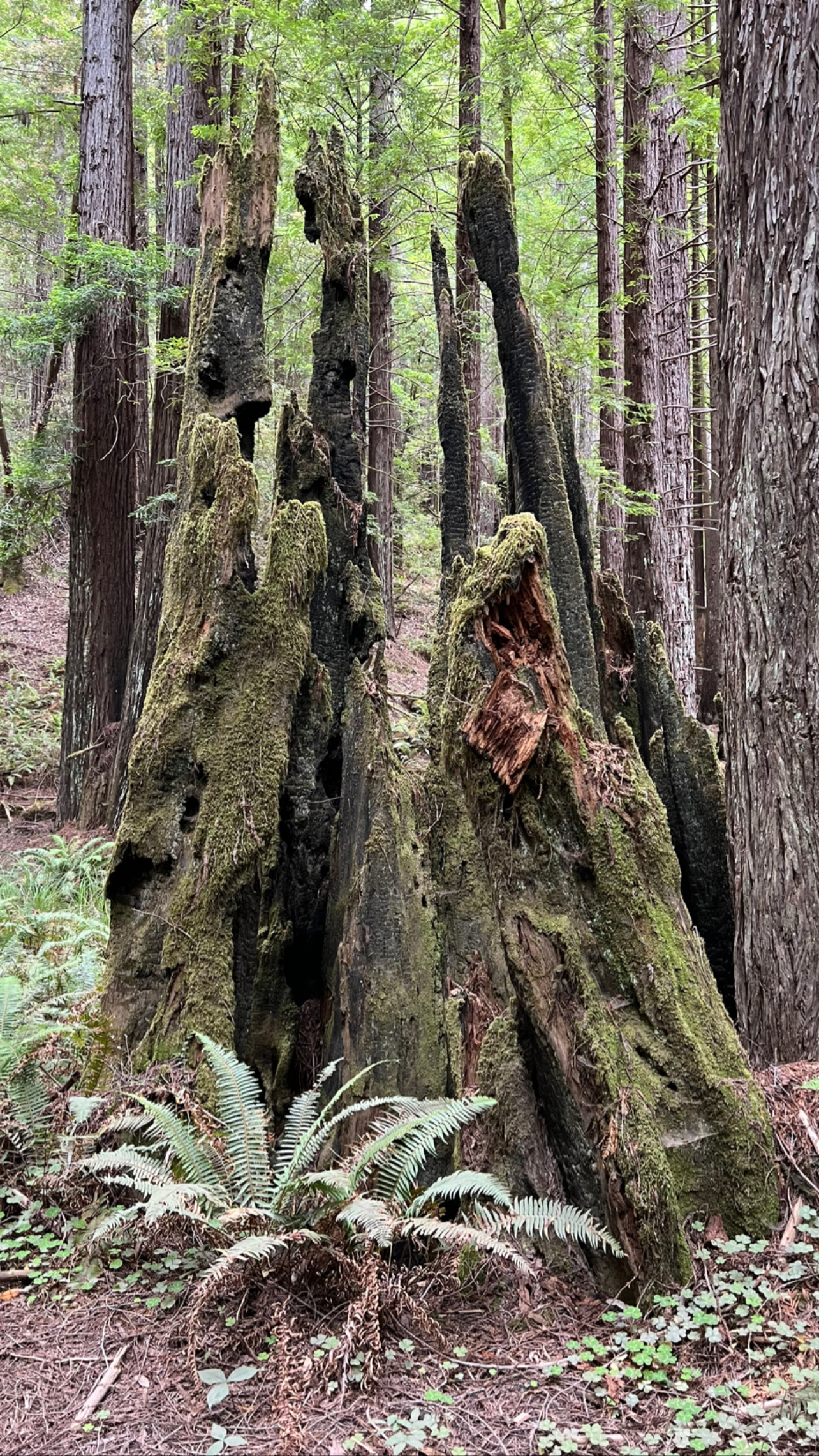 The Rules Of Magickal Re-entry: (the First Rule: You Get To Make Up New ...