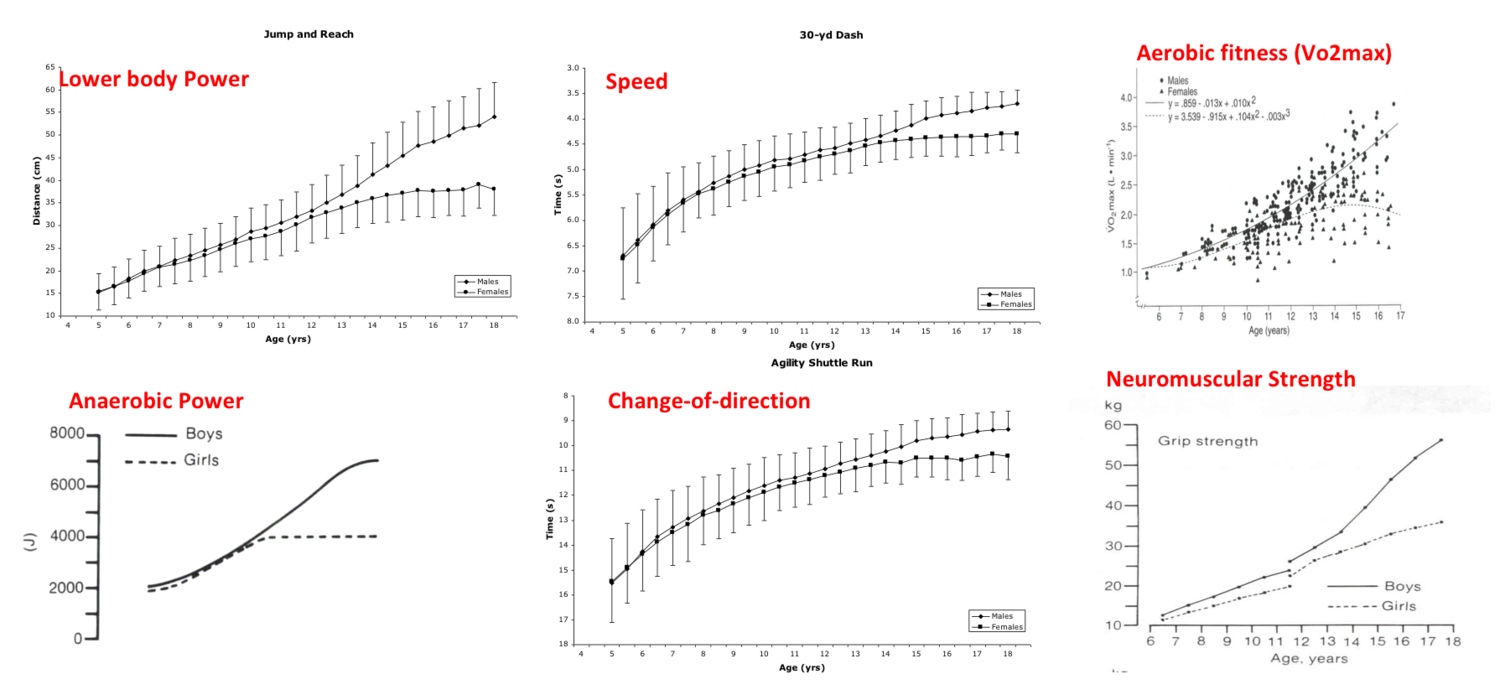 Lessons in Growth & Maturation: Scammon’s Curves