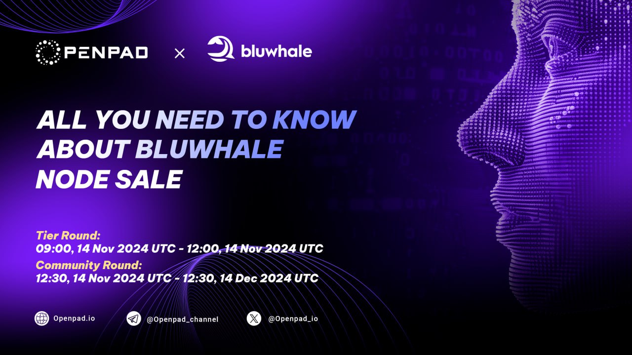 ALL YOU NEED TO KNOW ABOUT BLUWHALE NODE SALE
