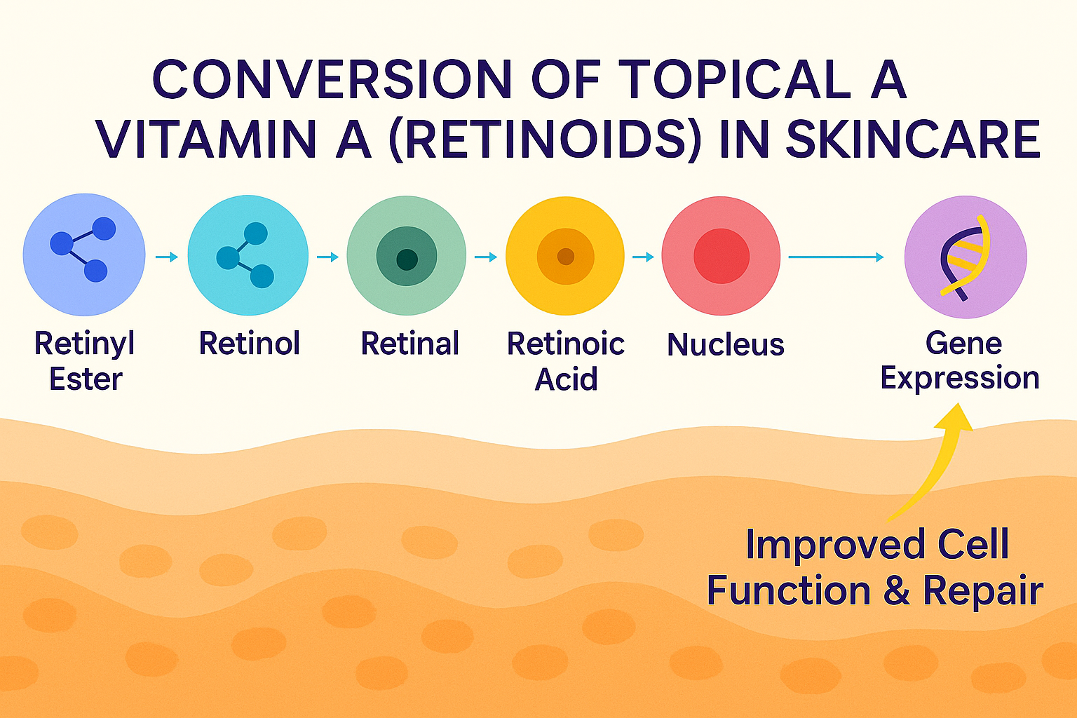 Retinoids: What happens below the surface