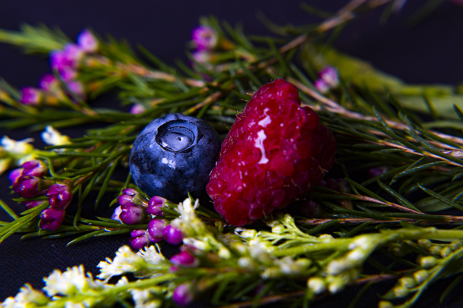 How to Set up your Sony Camera Correctly for Macro Photography
