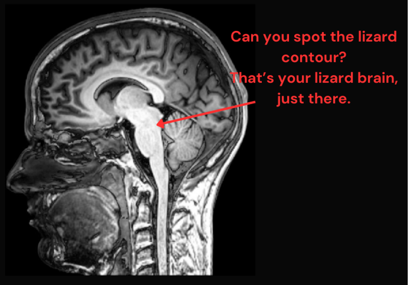 Goodbye Lizard Brain - by Ana Lund