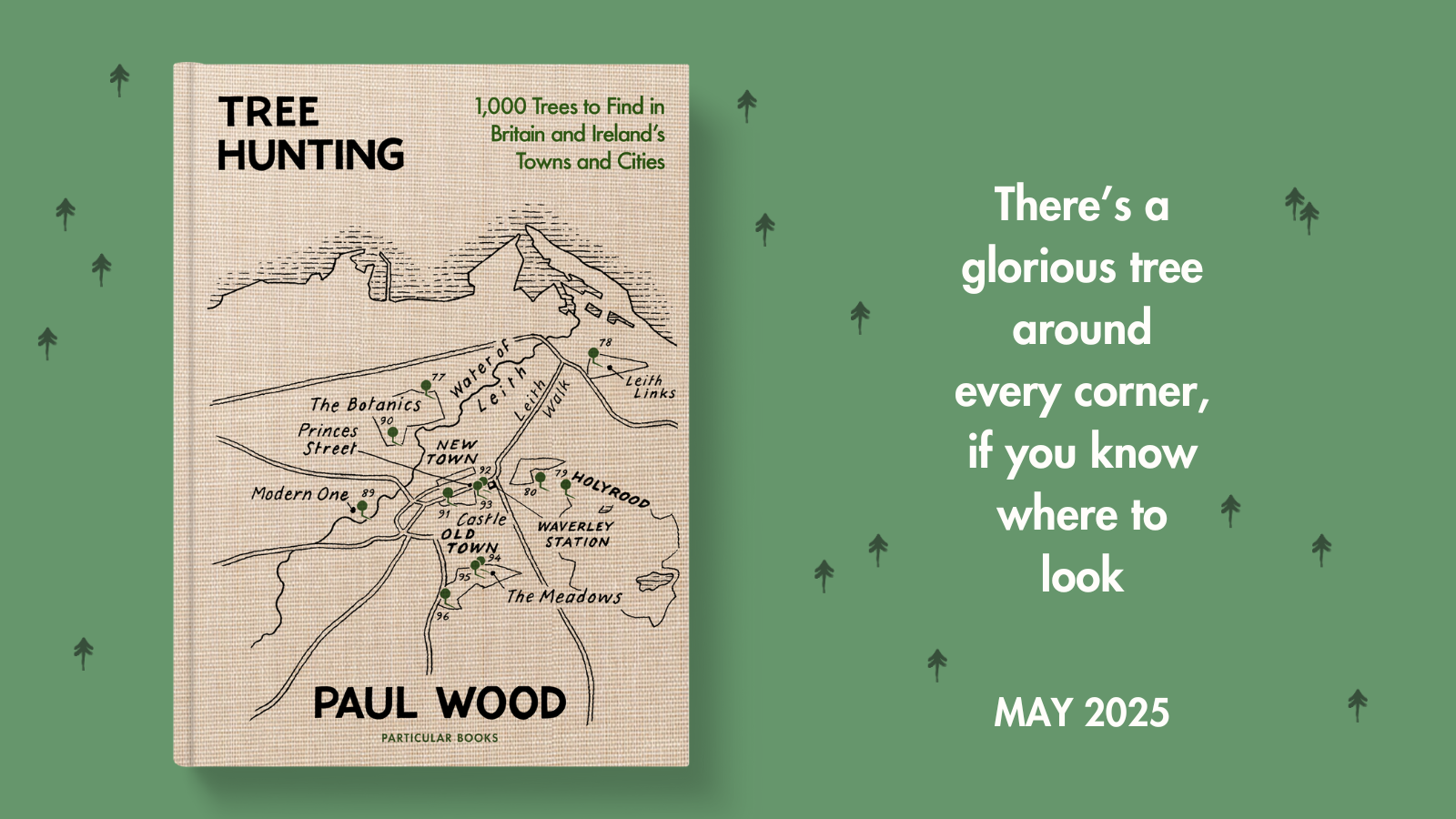 Long Reads: Tree Hunting - by Paul Wood - The Street Tree
