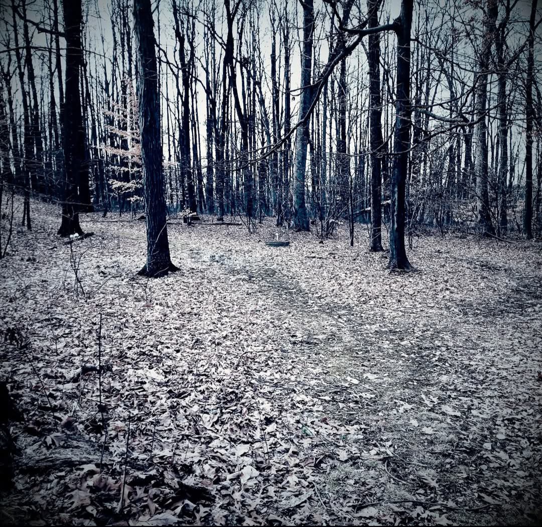 Liminal Photography - by Jane Deegan - Jane Sez...