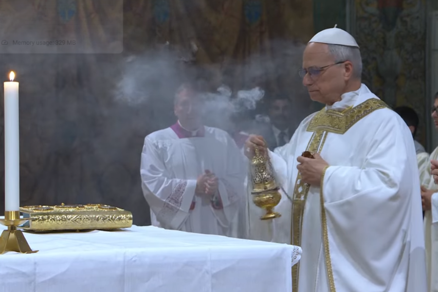 Leo XIV: Petrine ministry is a cross and a blessing