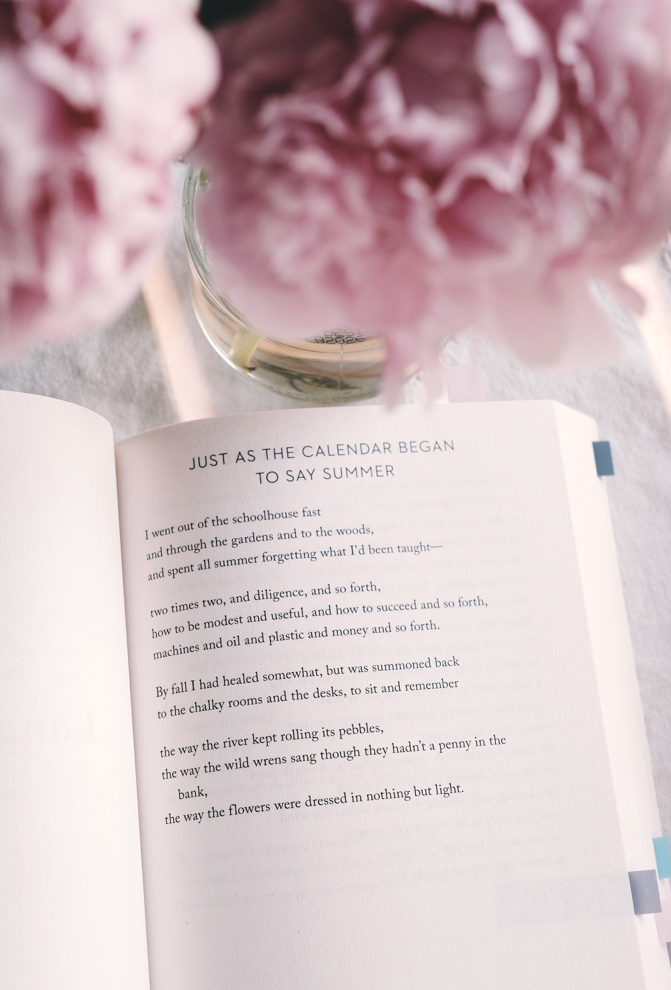 A few lovely summer poems - by Courtney Smith