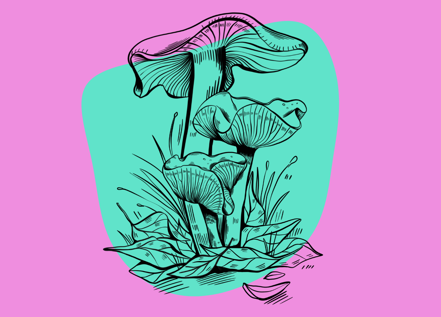 The Dark Truth About Wavy Cap Mushrooms (Psilocybe cyanescens)