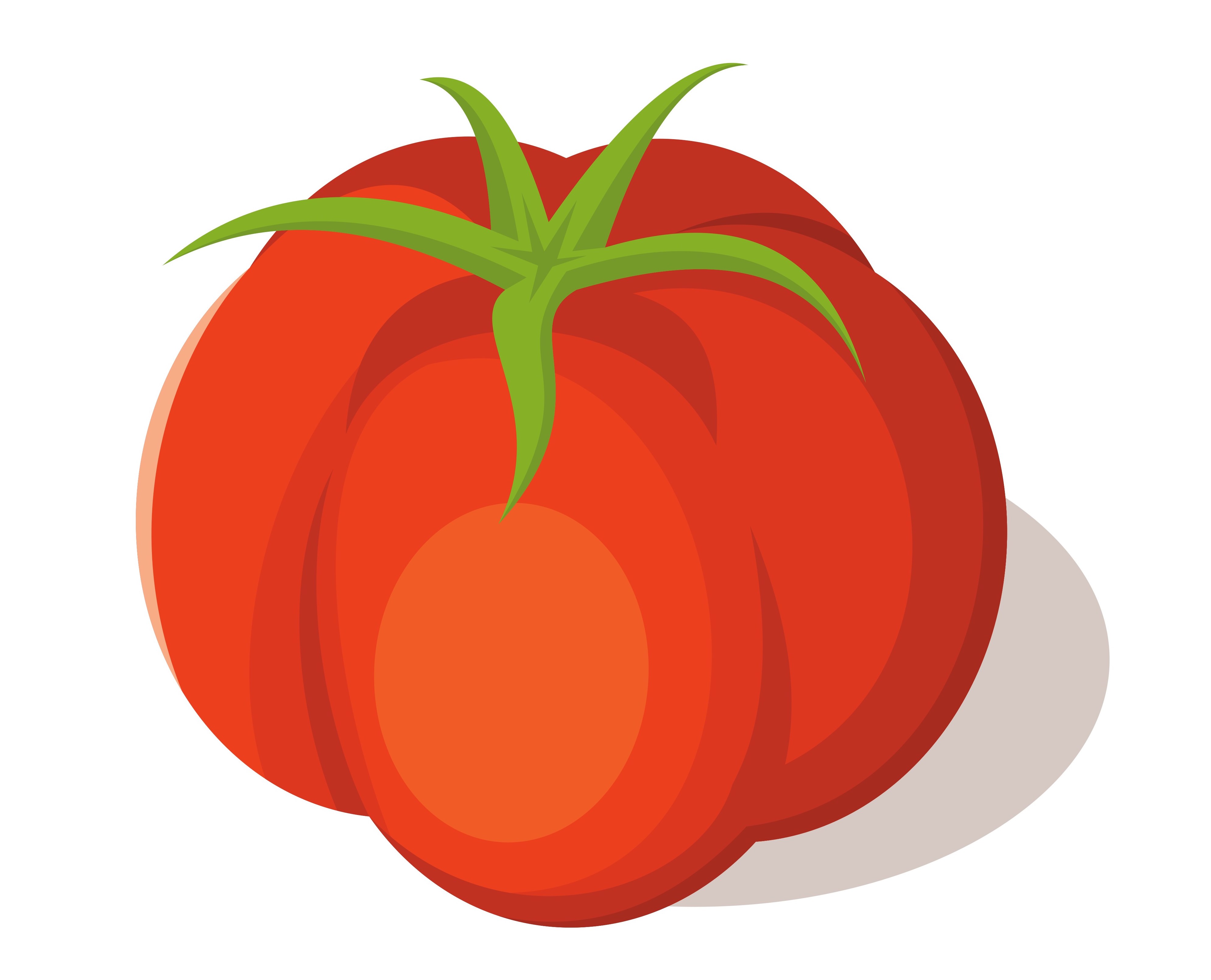 Is Rotten Tomatoes Still Reliable? A Statistical Analysis