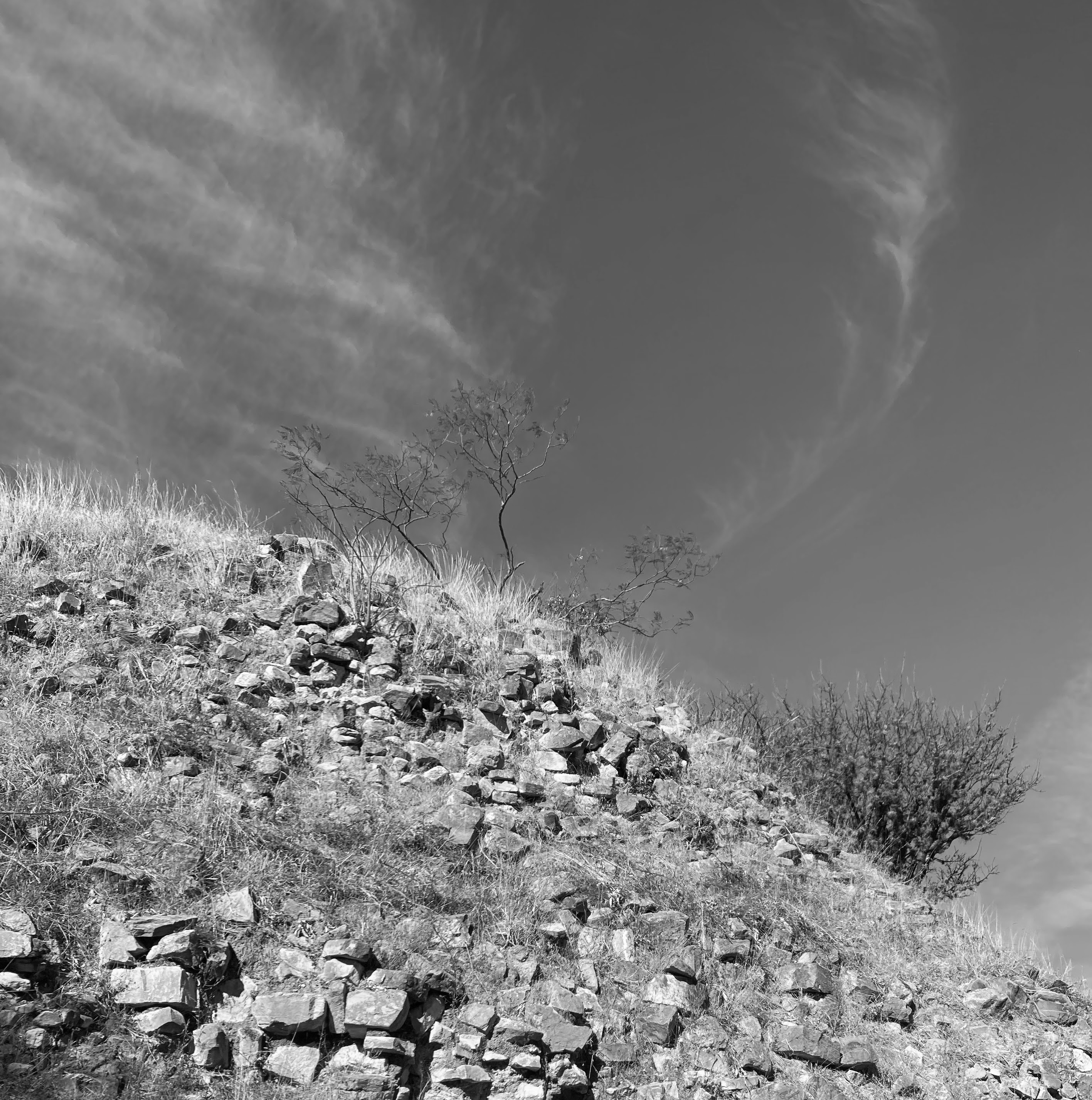 Project 2026 - The Democratic Constitution Blog