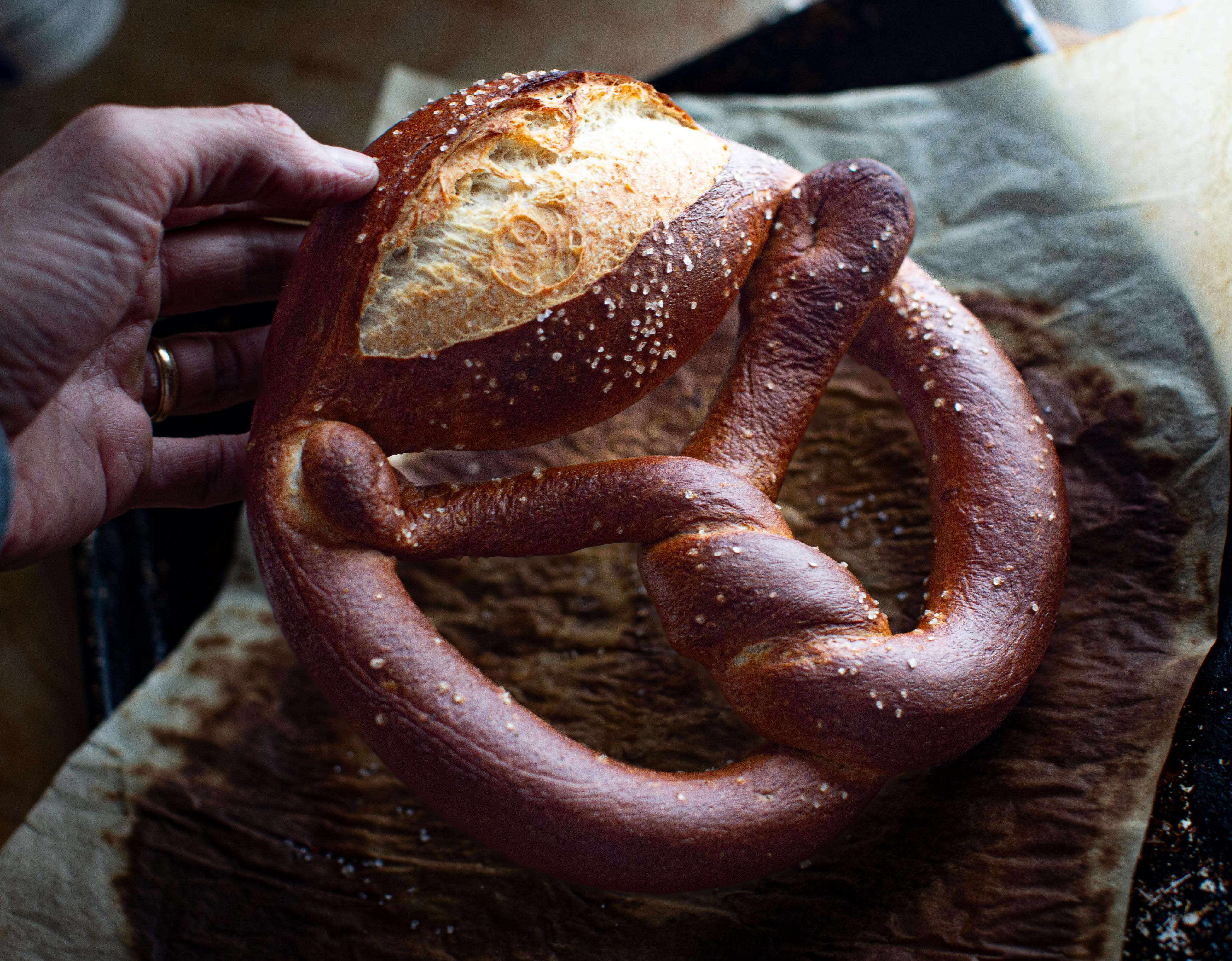 GIANT PRETZEL - by Martin Philip - The Sassafras Curio