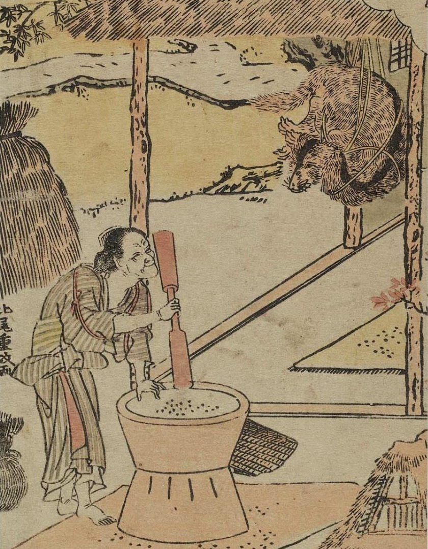 Tanuki - Hanashi by Curious Ordinary