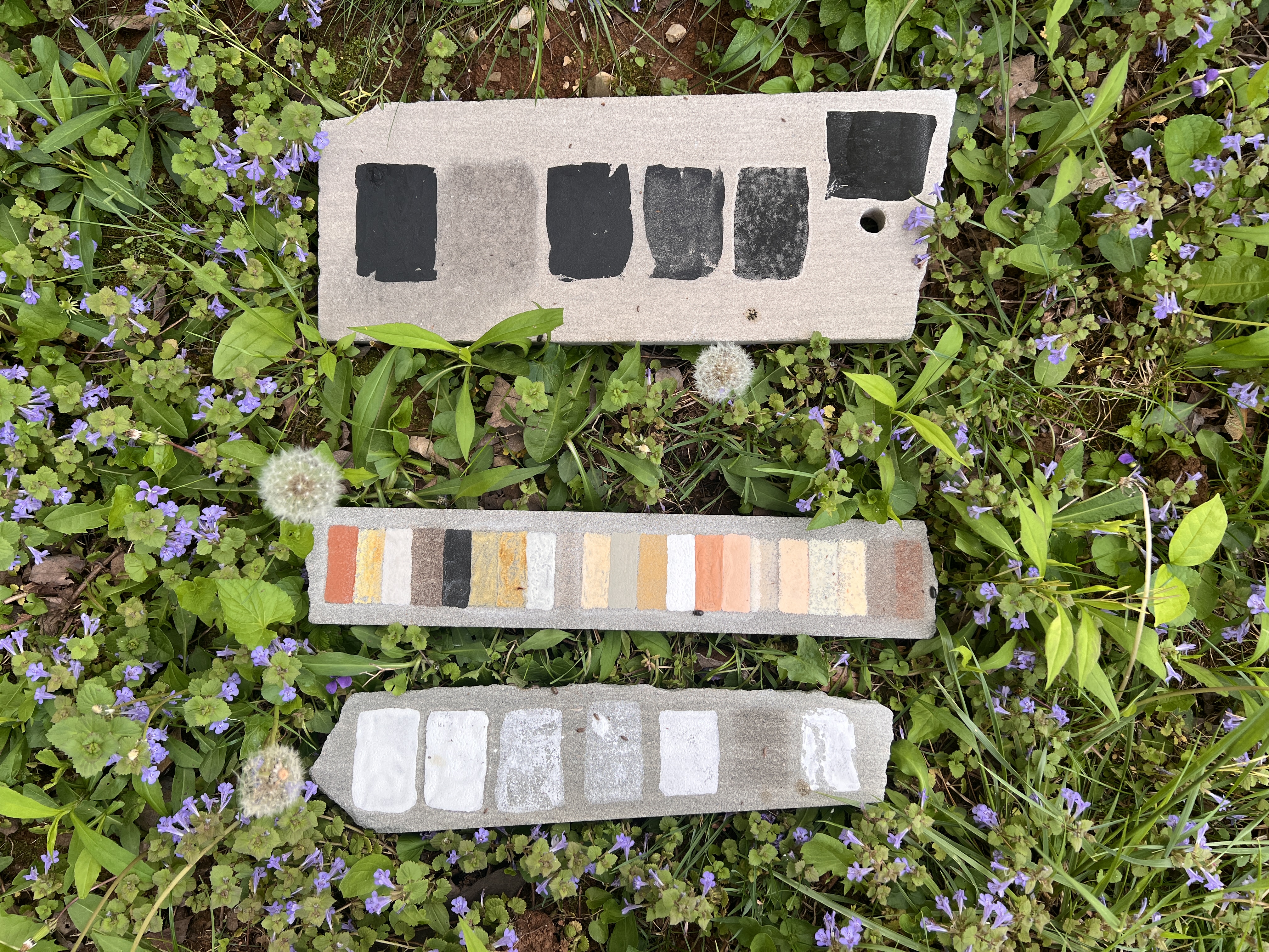 Testing Natural Paint Binders - by Rachel Kavathe Studio