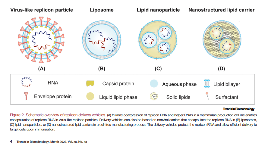 Japans Self Amplifying mRNA Vaccine - Is It Really The First Self ...