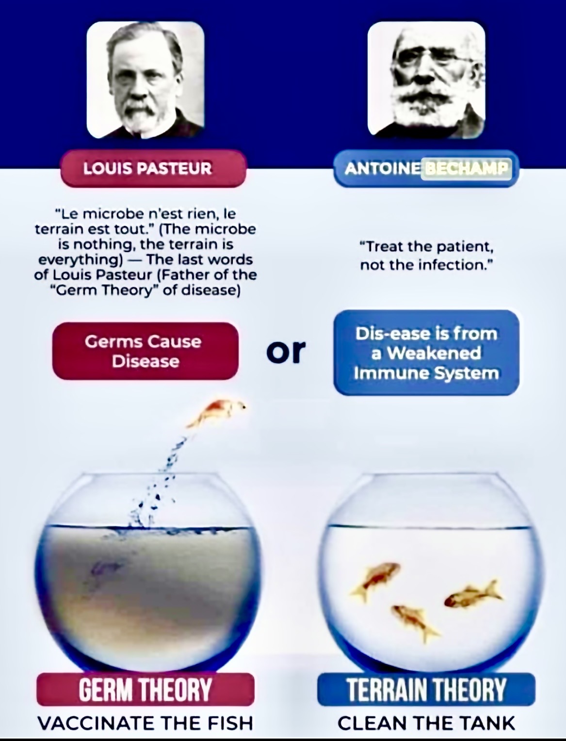 Germ Theory vs. Terrain Theory: Louis Pasteur and Antoine Béchamp’s ...