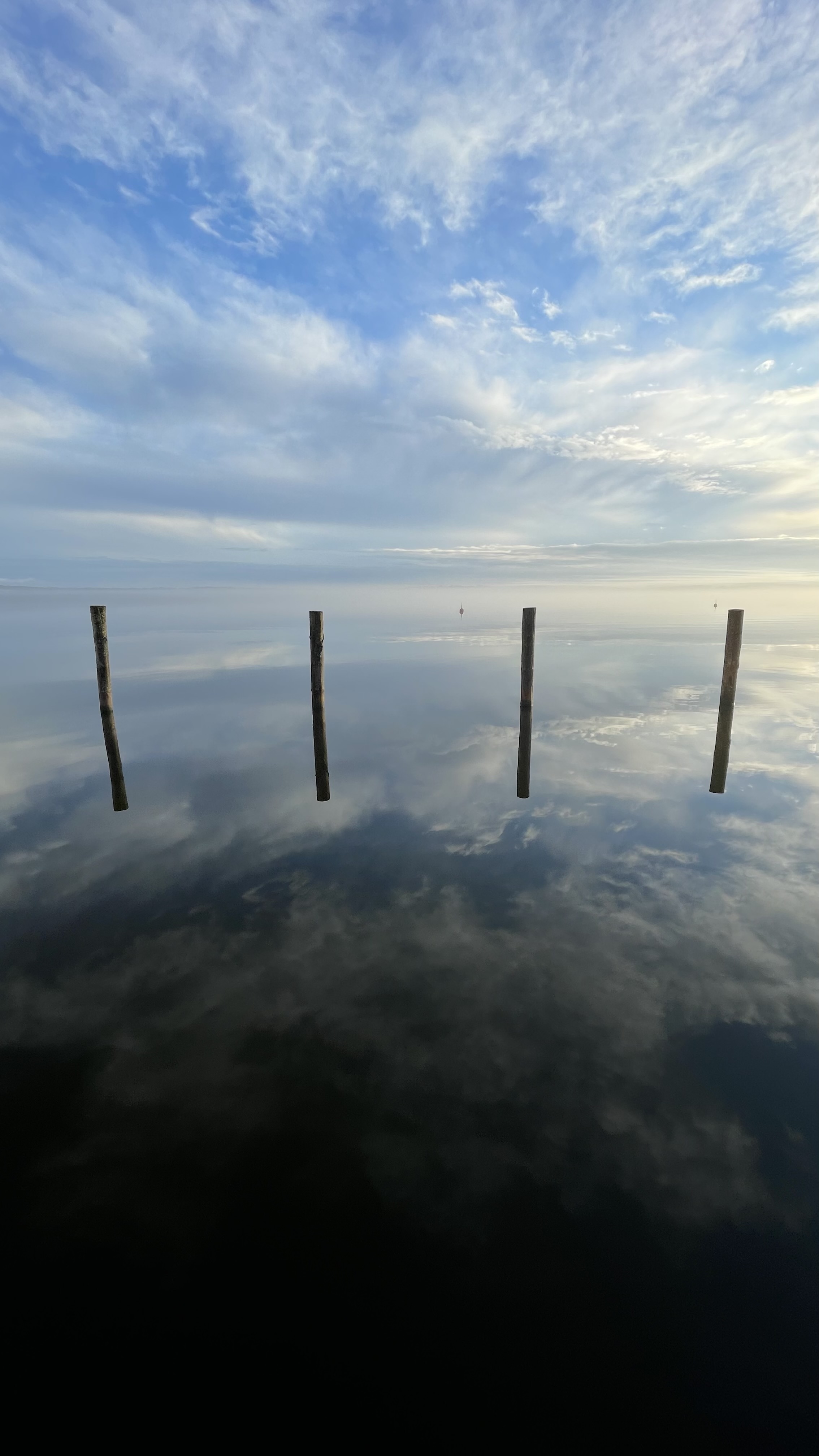 Note by Lisa Bolin on Substack: "Where is the end? she asked herself, letting go. Skyward, she ...