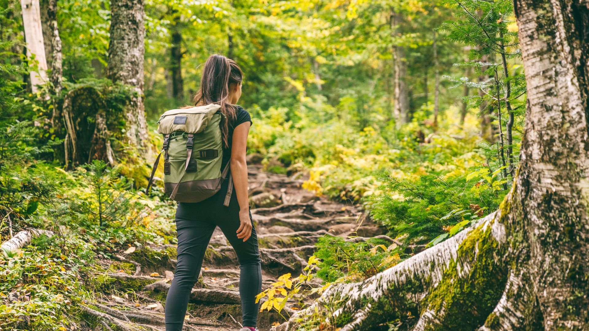 There’s Treasure Inside: What Has Been Found?