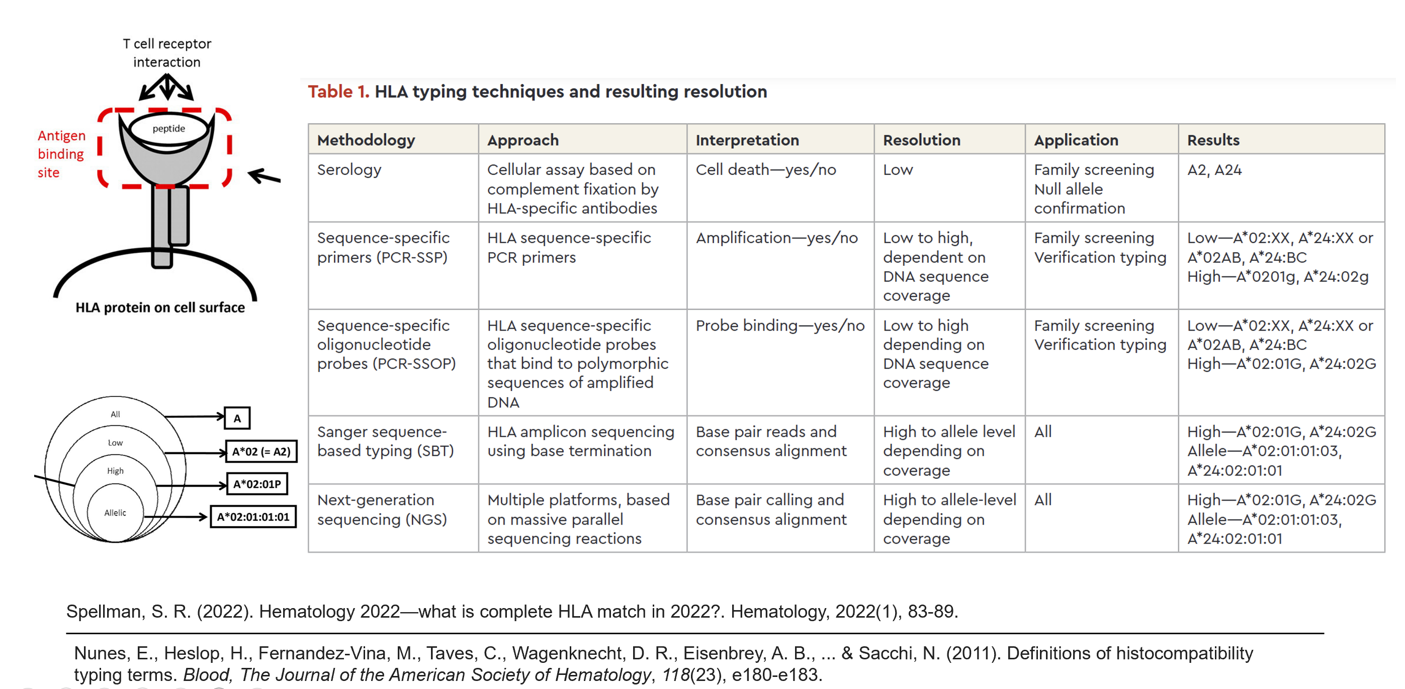 人類組織抗原 Human Leukocyte Antigen (HLA) 簡介及其臨床面向 - by Gem Wu