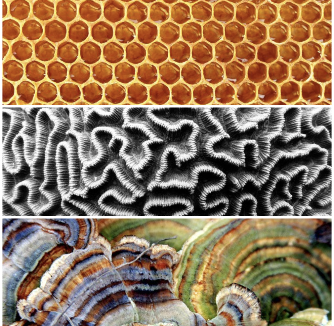 What Is a Mosaic? - by Rachel Sager - The Ruins Project