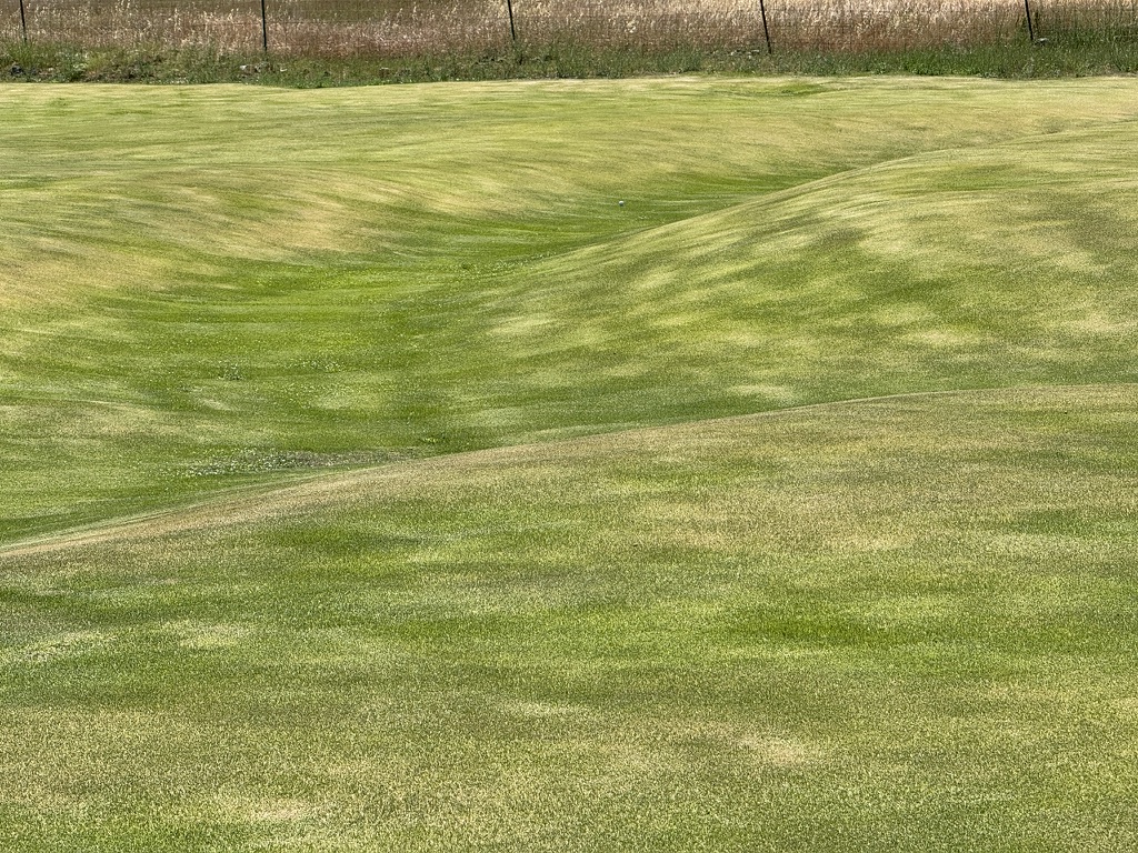 Brambles Golf - by Matthew Greber - Greebs In Regulation