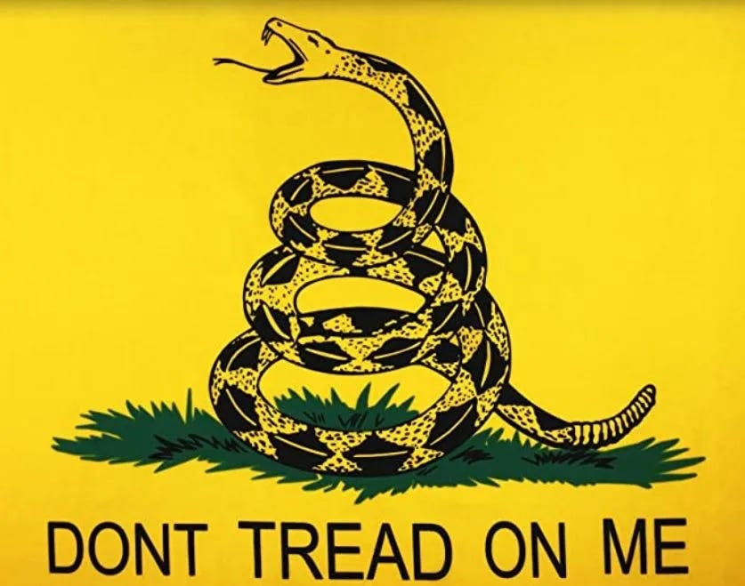 The Cobra Effect: Unintended Consequences in Policy Interventions