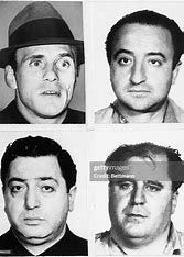 Your Civil Commitment Advisor – HumorOutcasts.com