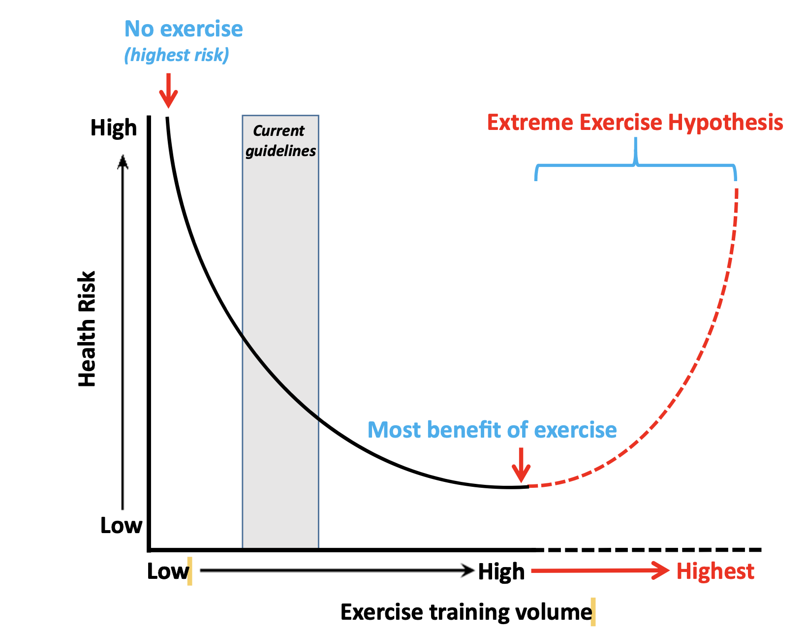 Is Too Much Exercise Harmful?