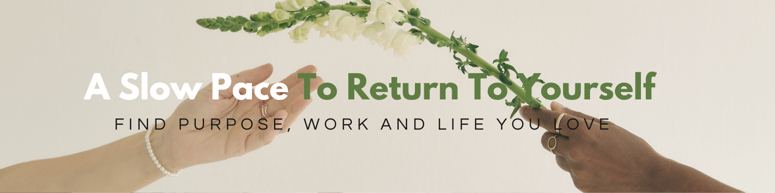 How to Use the New Substack Banner to Reflect Your Story (with 7 ...