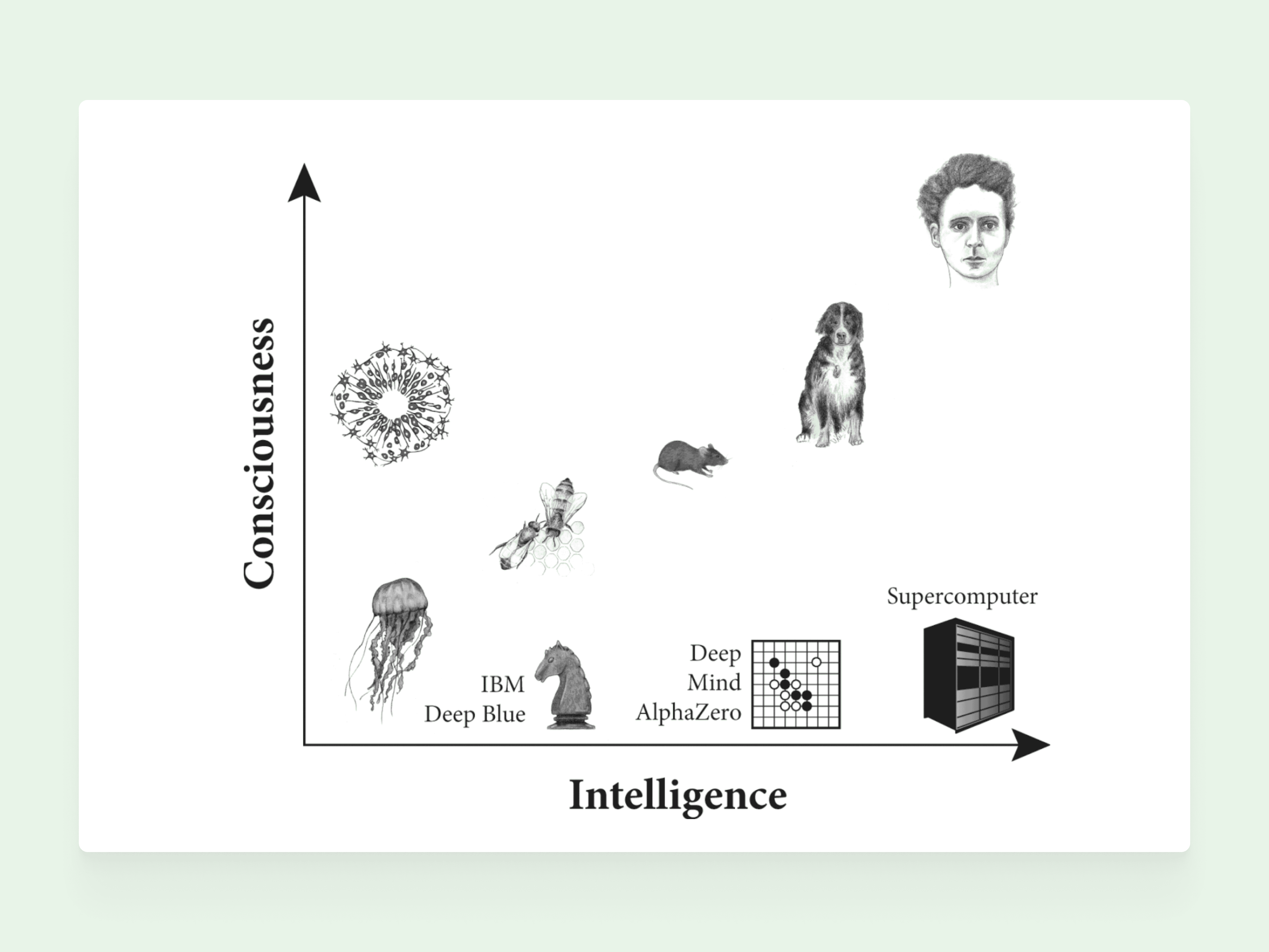 Lab-Grown Human Brain Embodied in a Virtual World