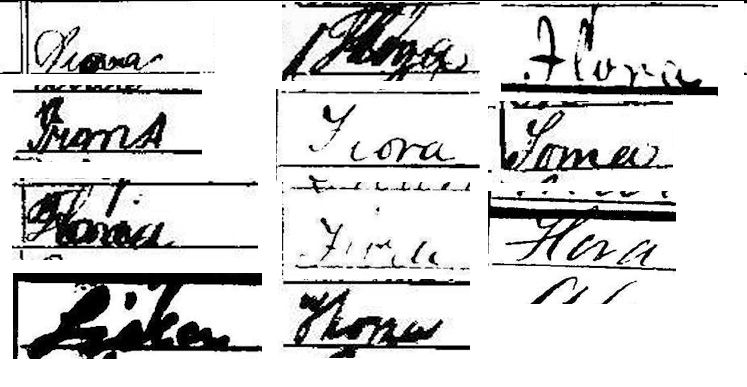 On the origins of the name Fiona - by Josie Giles