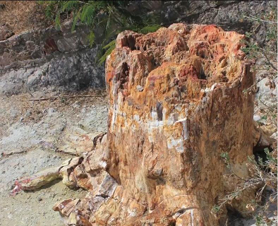 ELECTRIC FOSSILIZATION - by Len Kinder