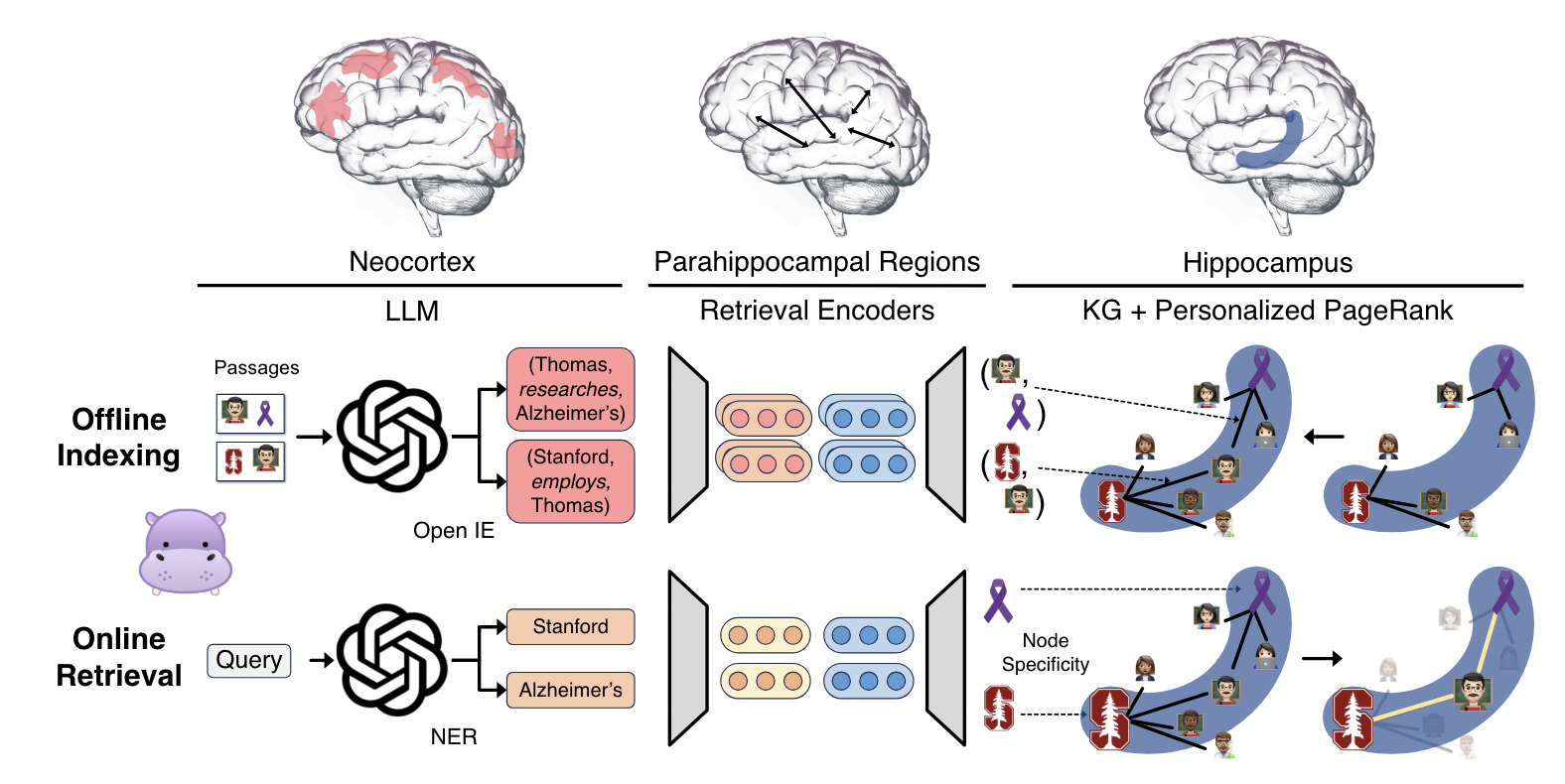 HippoRAG: Hippocampal Memory of RAG - by Florian